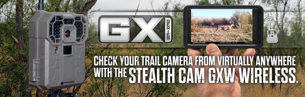 gxw ads – TCG Plus